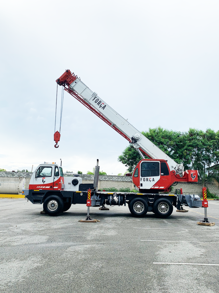 Grúa TEREX T335 – Força